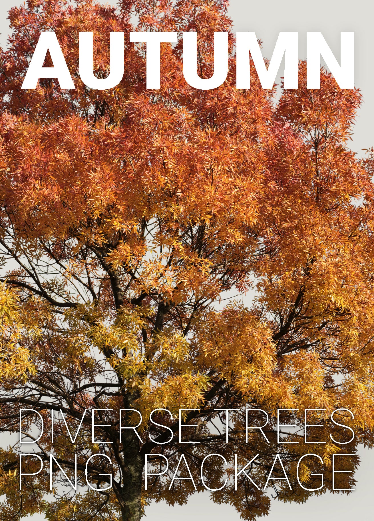 AUTUMN | Diverse trees package – Cutout|trees