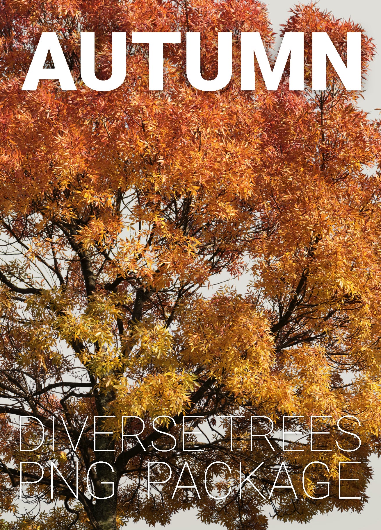 AUTUMN | Diverse trees – Cutout|trees