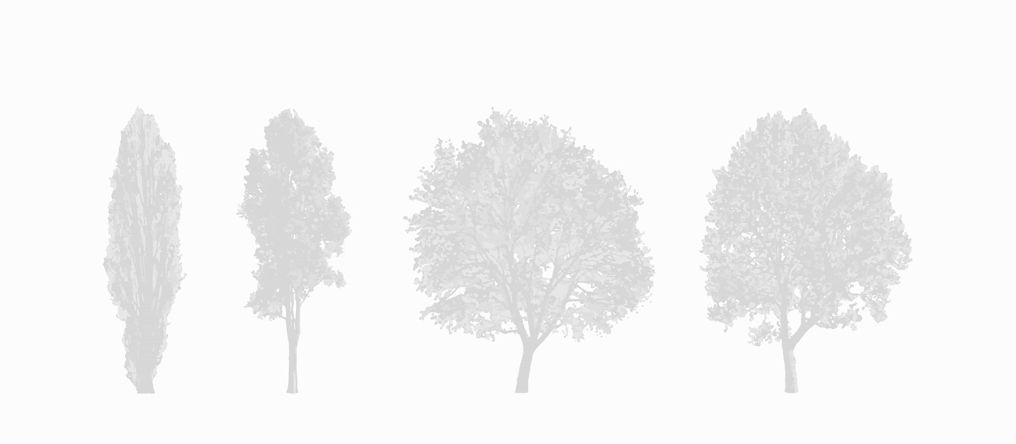 DWG / CAD DRAWINGS – Cutout|trees