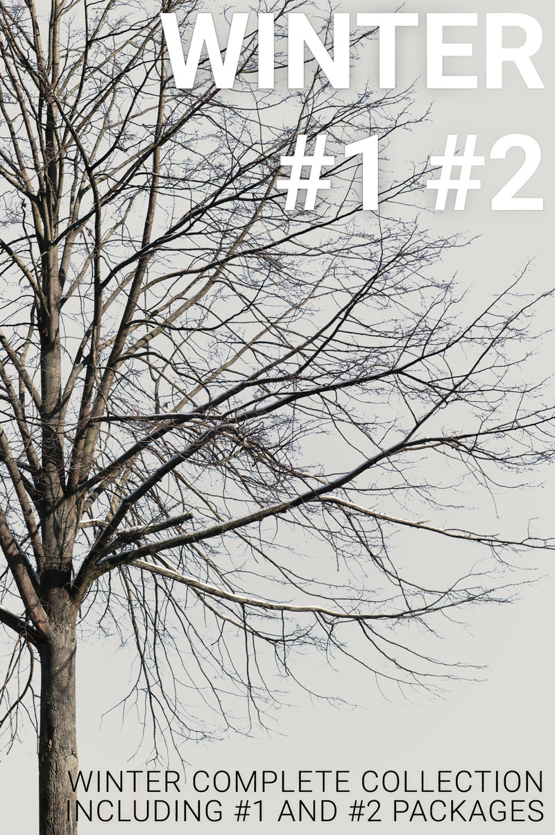 WINTER | Packages collection – Cutout|trees