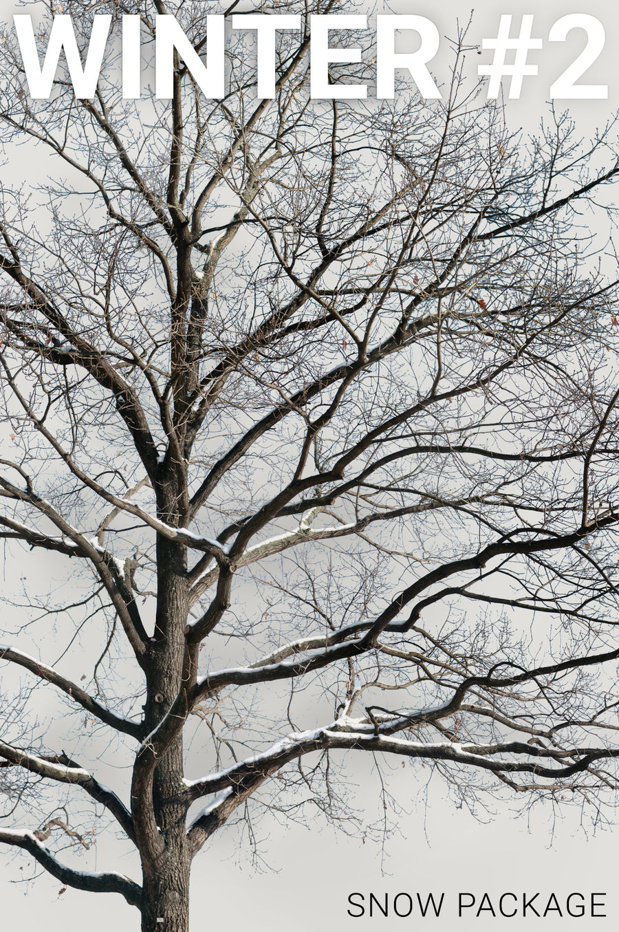 WINTER | Packages collection – Cutout|trees