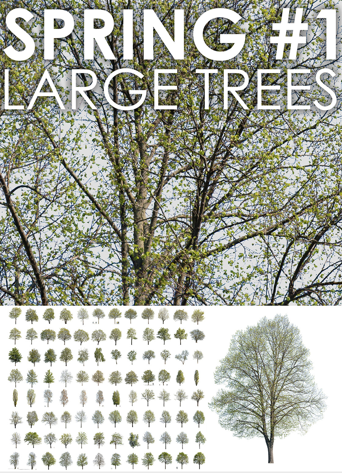 Spring Large Tree Cutouts — 104 PNG for Architectural Renders – Cutout ...