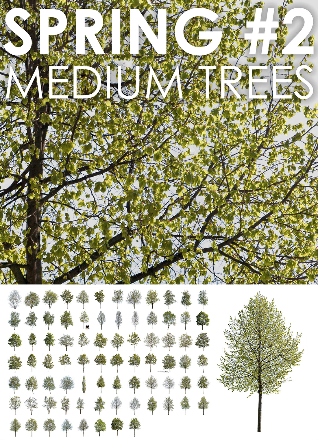 Spring Medium Tree Cutouts — 80 PNG for Architectural Renders – Cutout ...