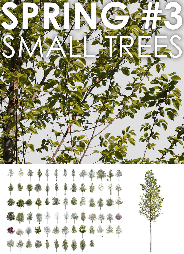Spring Tree Cutouts — 75 Small PNG for Architectural Renders – Cutout|trees
