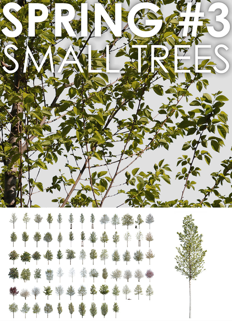 Spring Tree Cutouts — 75 Small PNG for Architectural Renders – Cutout|trees
