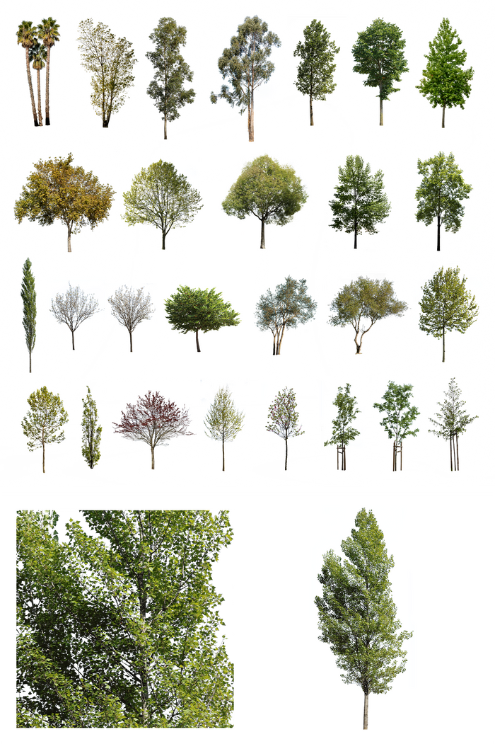 PACKAGES – Cutout|trees