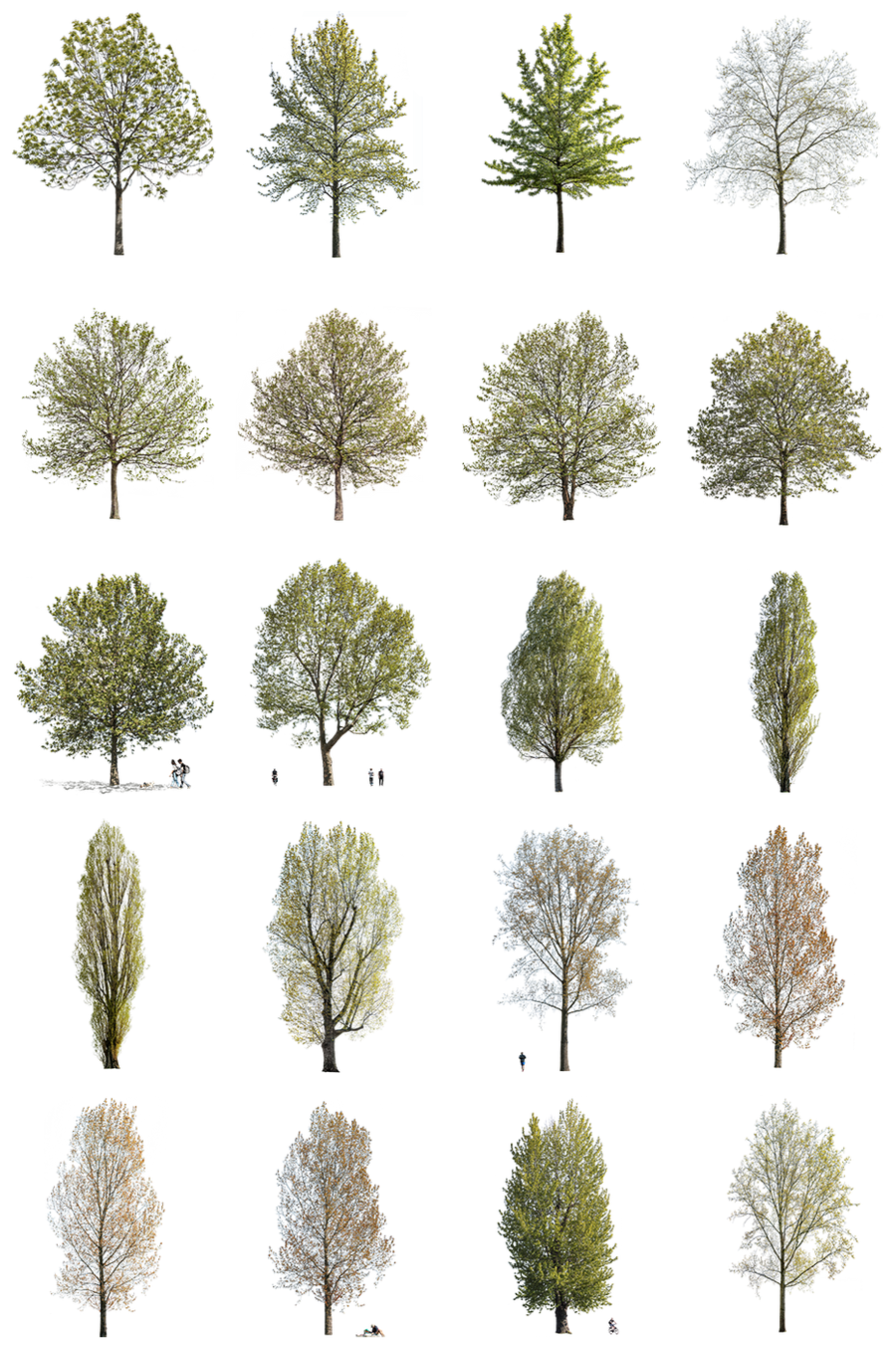 Spring Large Tree Cutouts — 104 PNG for Architectural Renders – Cutout ...