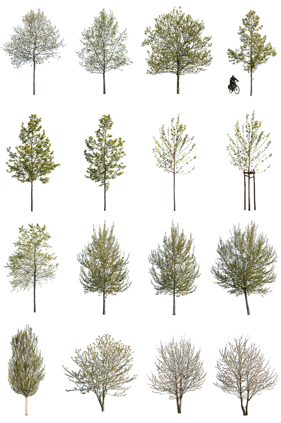 Spring Tree Cutouts — 75 Small PNG for Architectural Renders – Cutout|trees