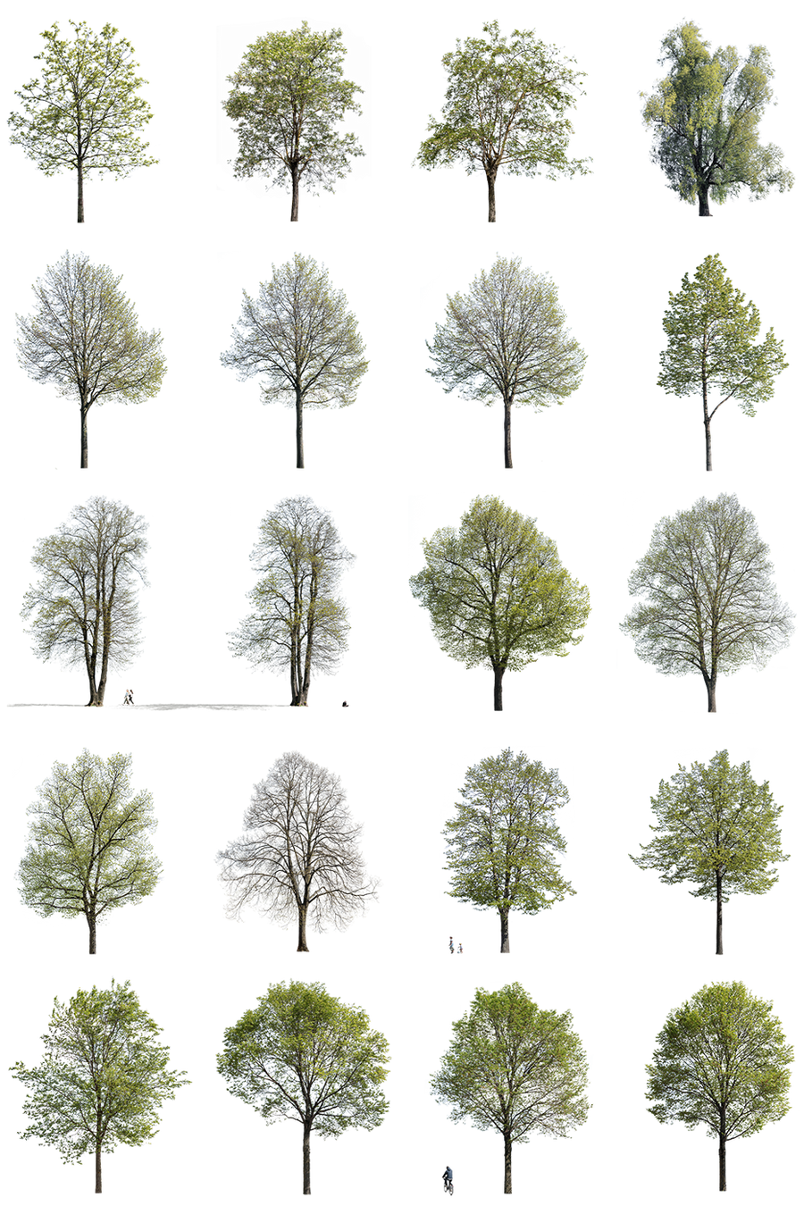 Spring Large Tree Cutouts — 104 PNG for Architectural Renders – Cutout ...
