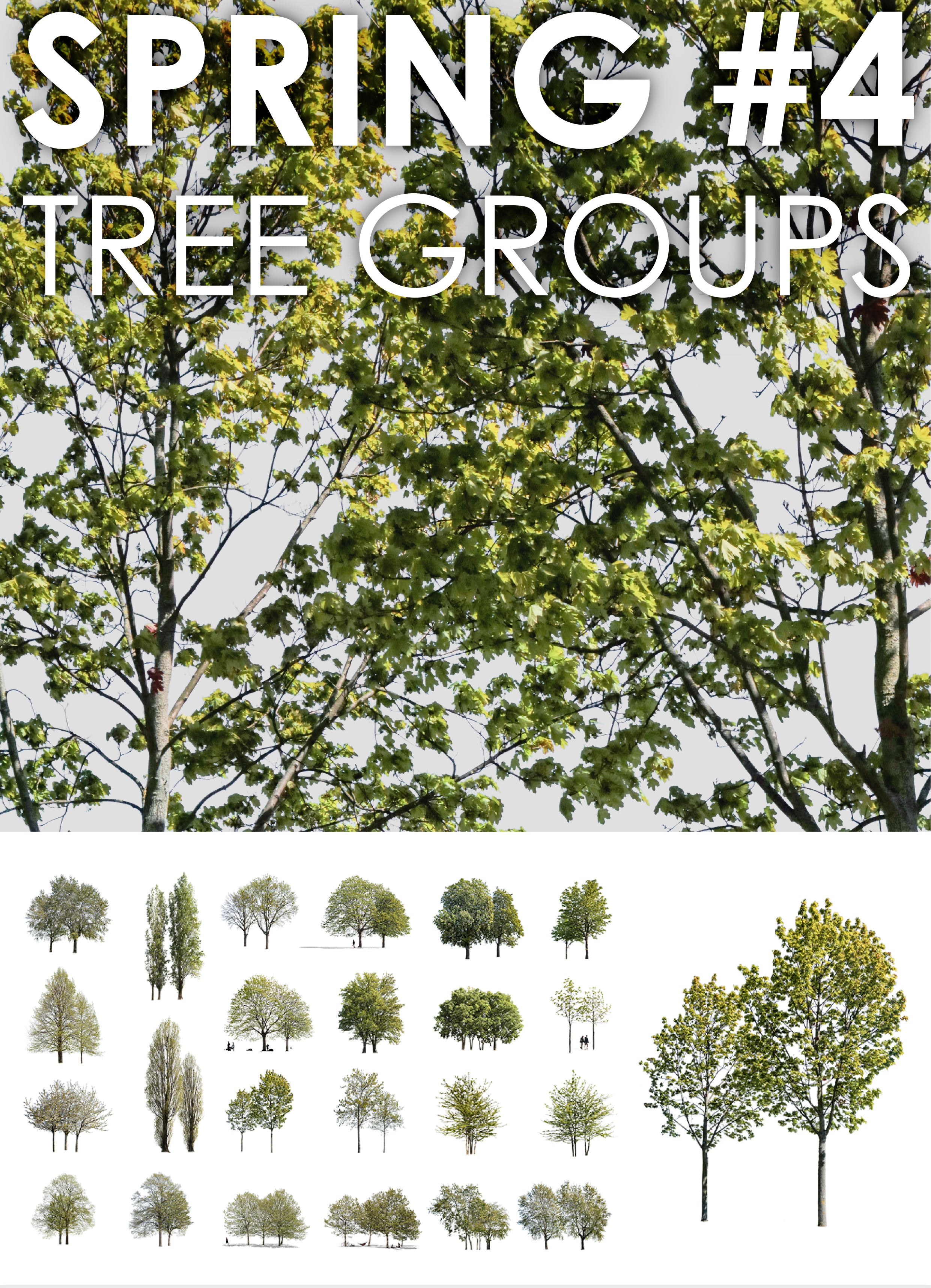 12 Large Trees Pack – Cutout|trees