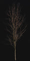 Deciduous Tree Winter V – Cutout|trees