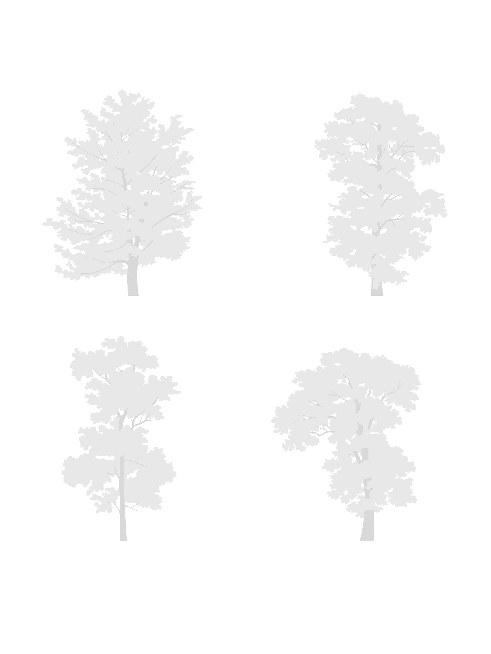 DWG Vectorial 1- Large Trees – Cutout|trees