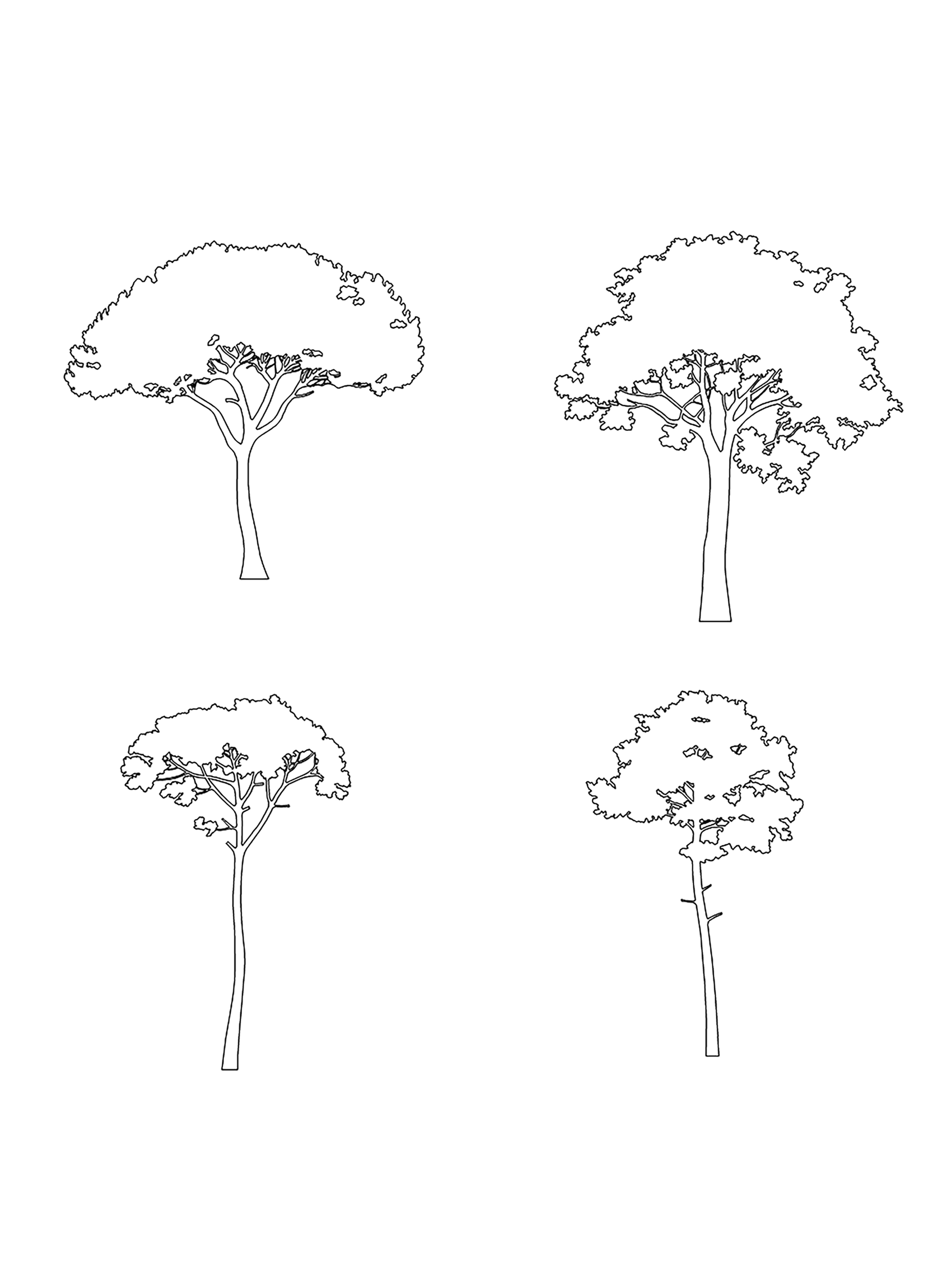 DWG Vectorial 4 - Conifer Trees – Cutout|trees