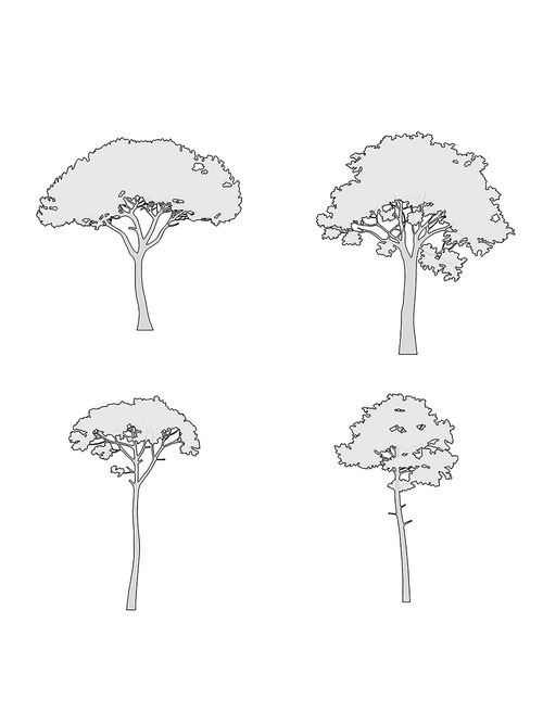 Conifers CAD Blocks DWG — Pine, Cypress and Fir Elevations – Cutout|trees