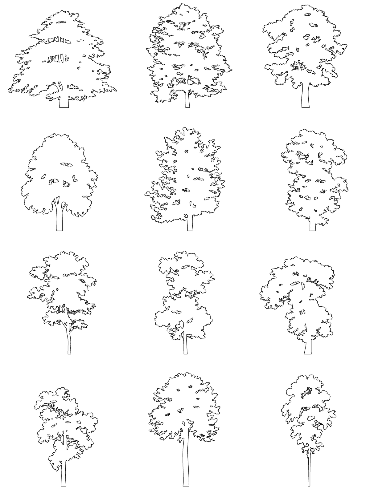 DWG Vectorial 1- Large Trees – Cutout|trees