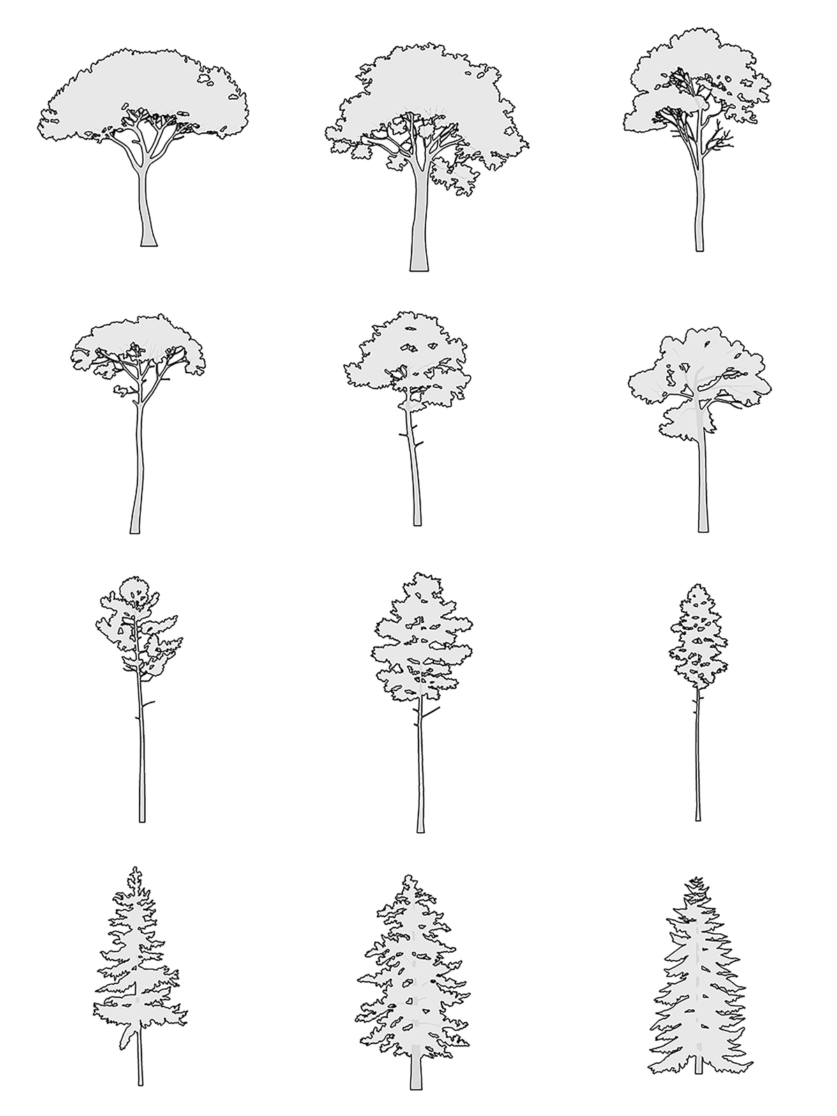 Conifers CAD Blocks DWG — Pine, Cypress and Fir Elevations – Cutout|trees