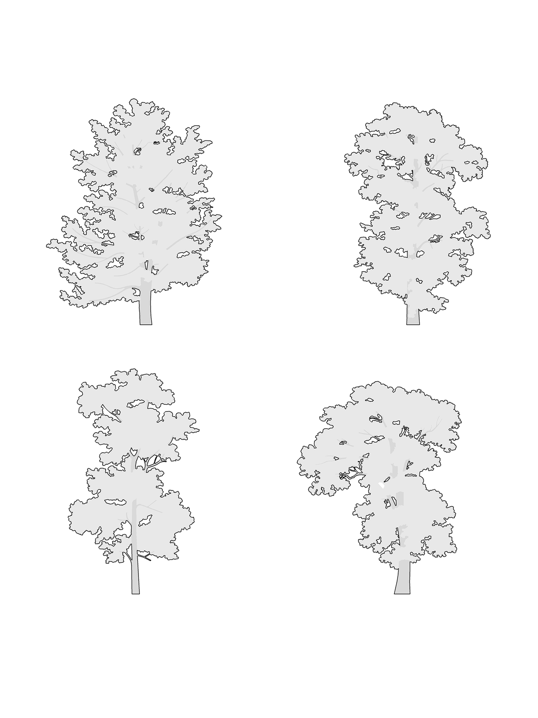 Large Trees CAD Blocks DWG — 12 Trees · 4 Styles · 48 Blocks – Cutout|trees