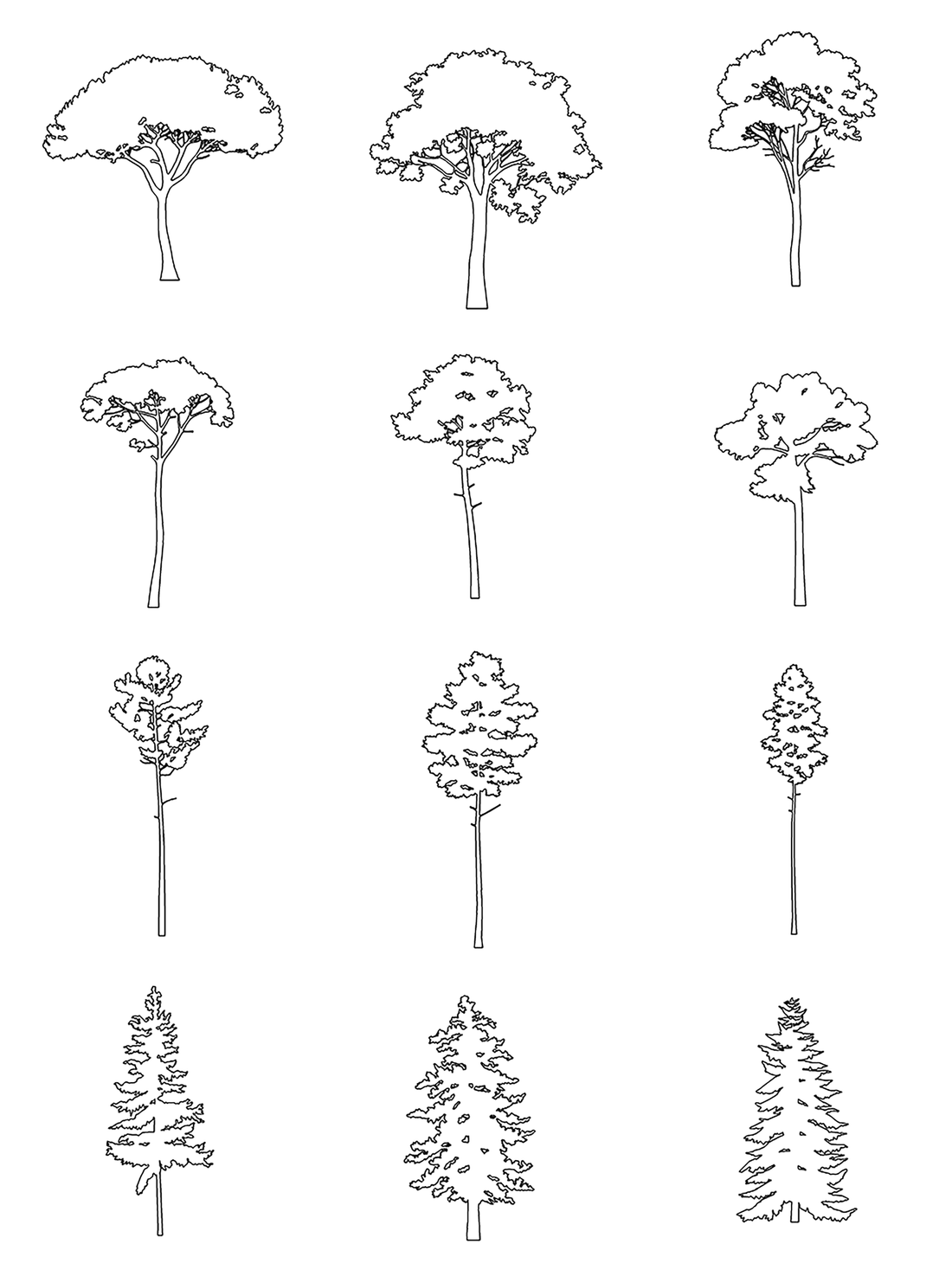 Conifers CAD Blocks DWG — Pine, Cypress and Fir Elevations – Cutout|trees