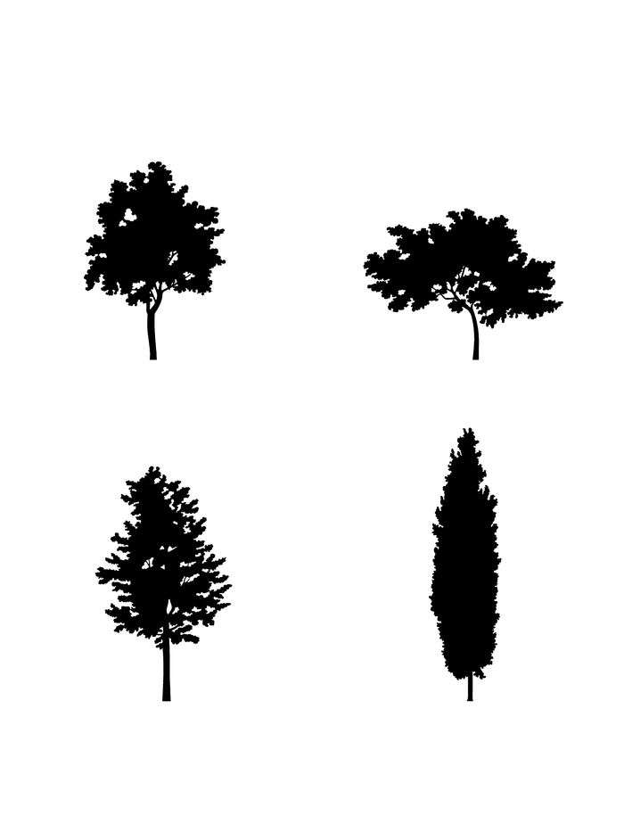 DWG Vectorial 3 - Small Trees – Cutout|trees