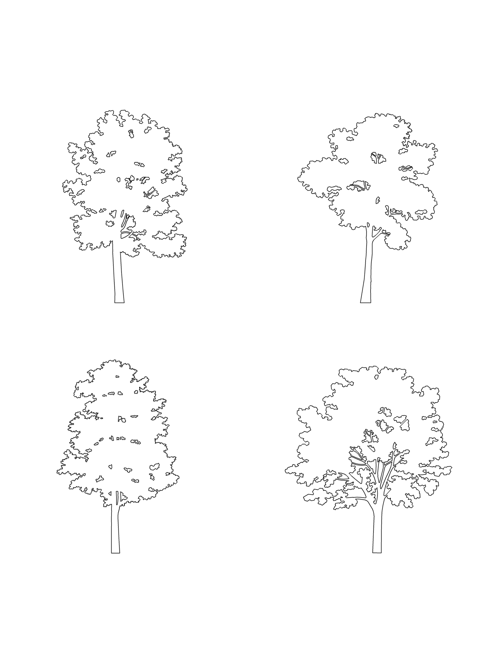 DWG Vectorial 2 - Medium Trees – Cutout|trees