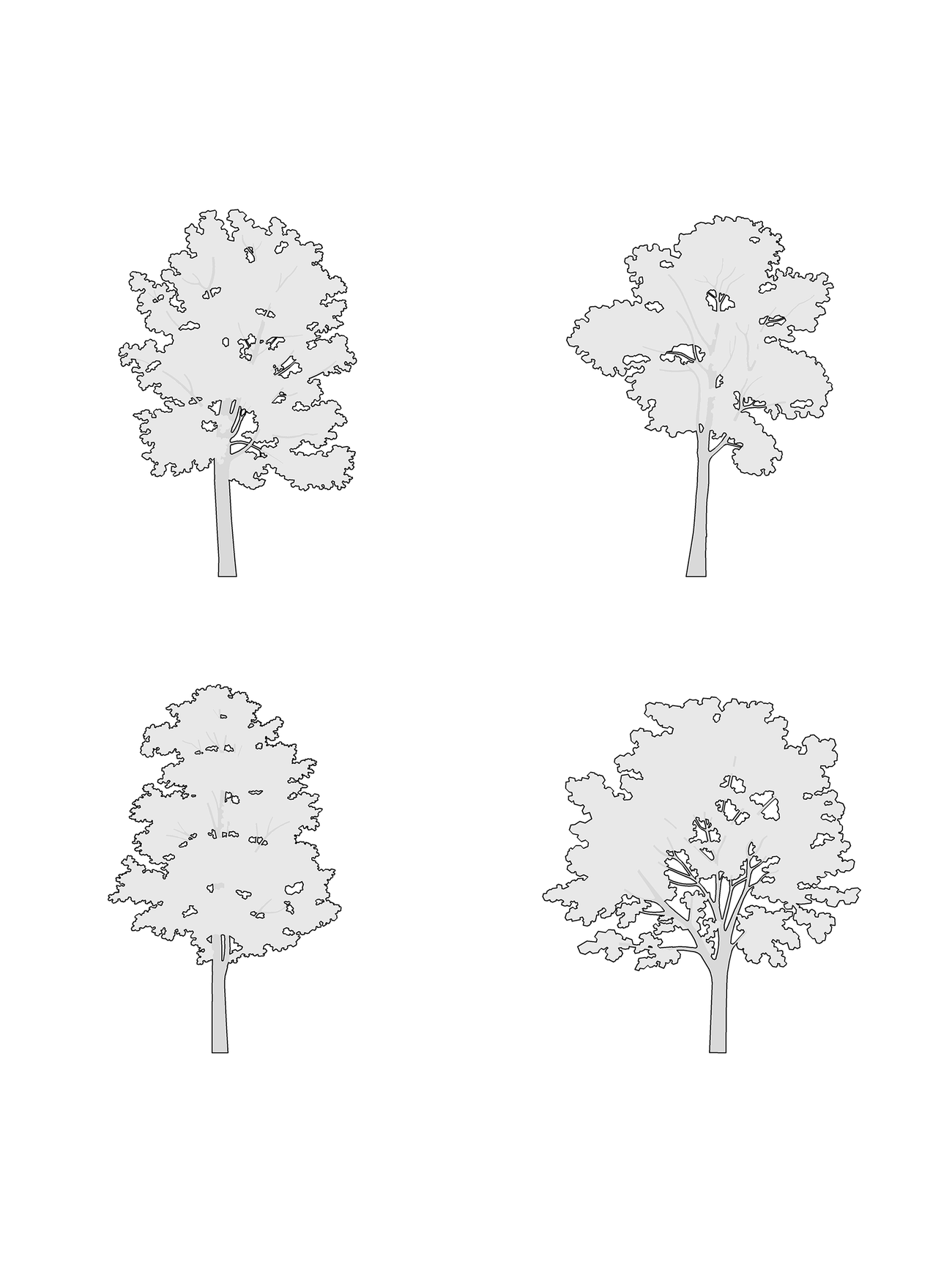 DWG Vectorial 2 - Medium Trees – Cutout|trees