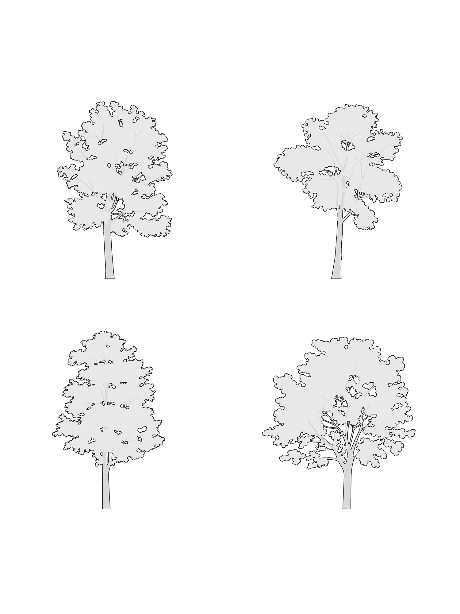 DWG Vectorial 2 - Medium Trees – Cutout|trees