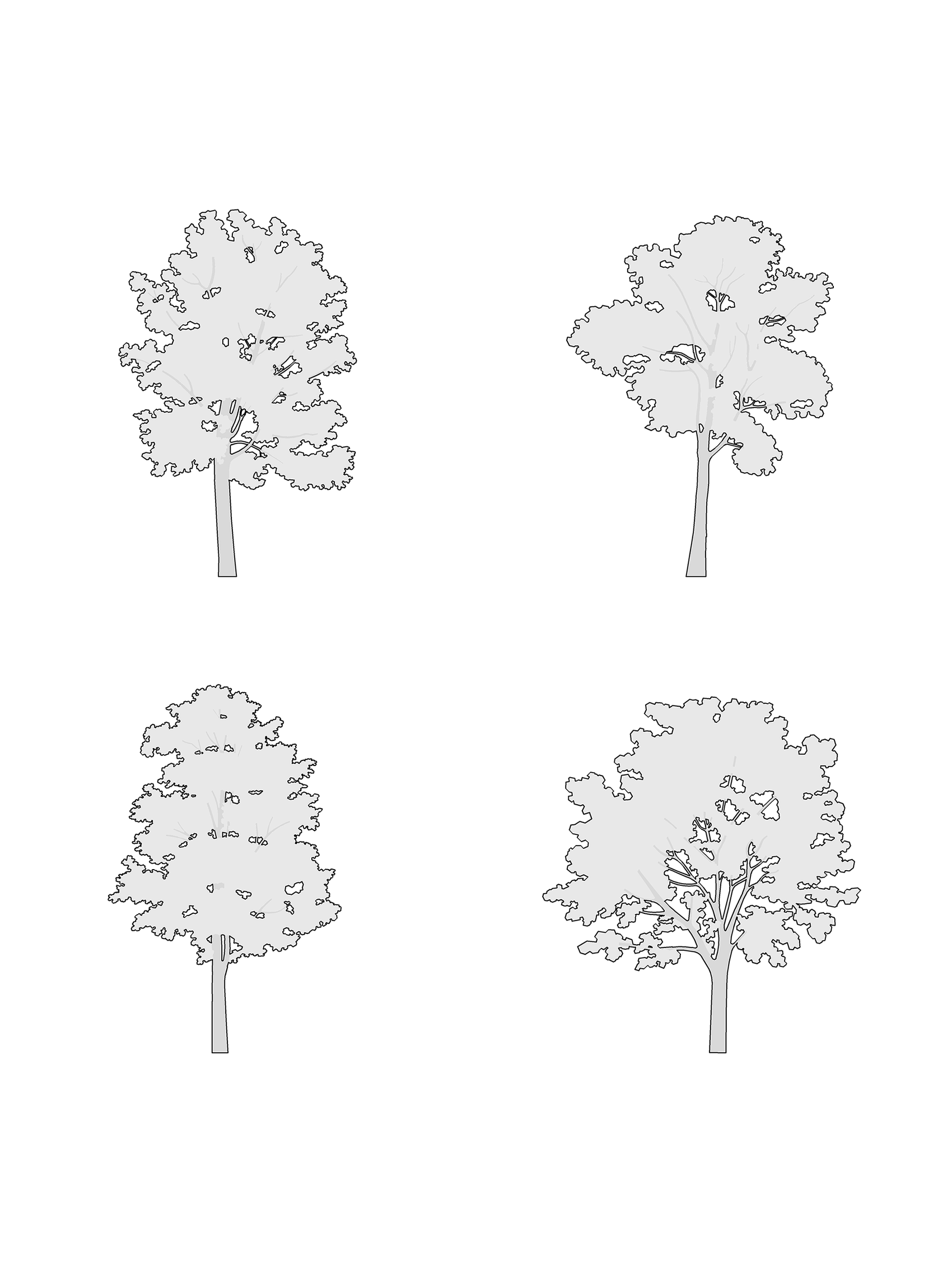 DWG Vectorial 2 - Medium Trees – Cutout|trees