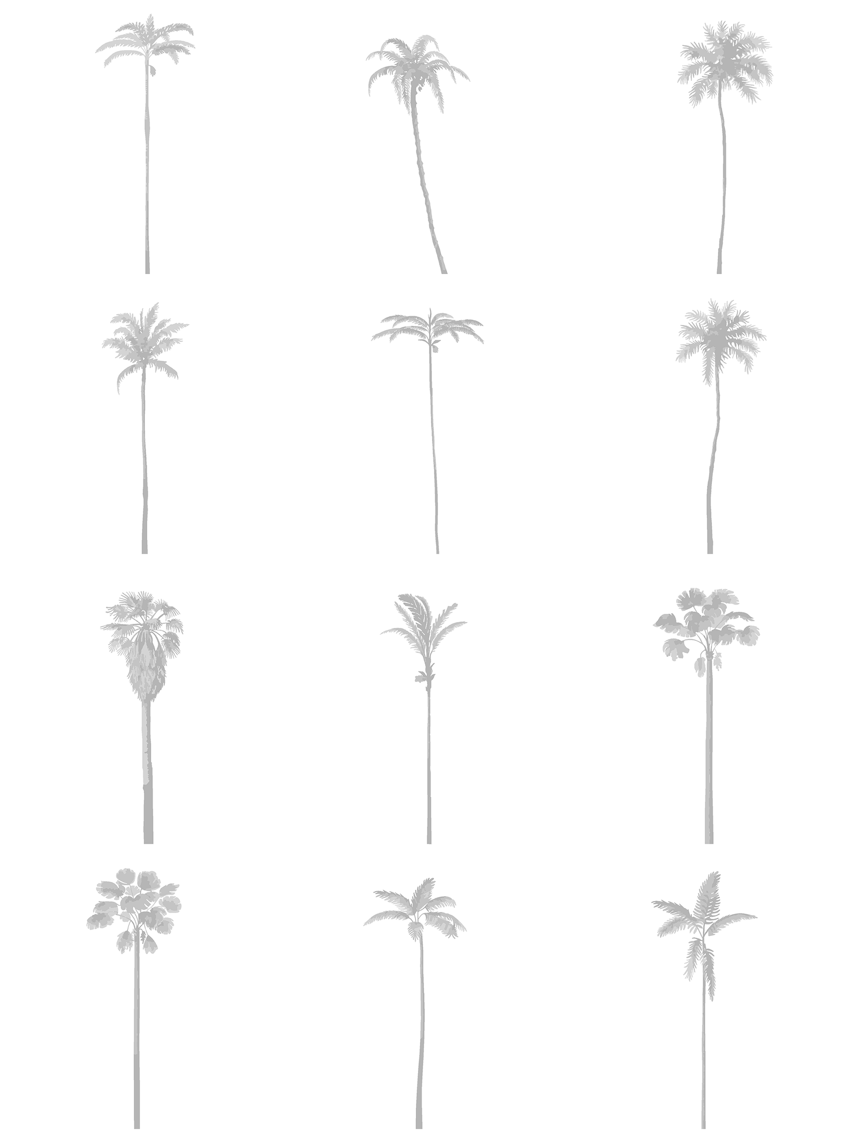 DWG Vectorial 5 - Palm Trees – Cutout|trees