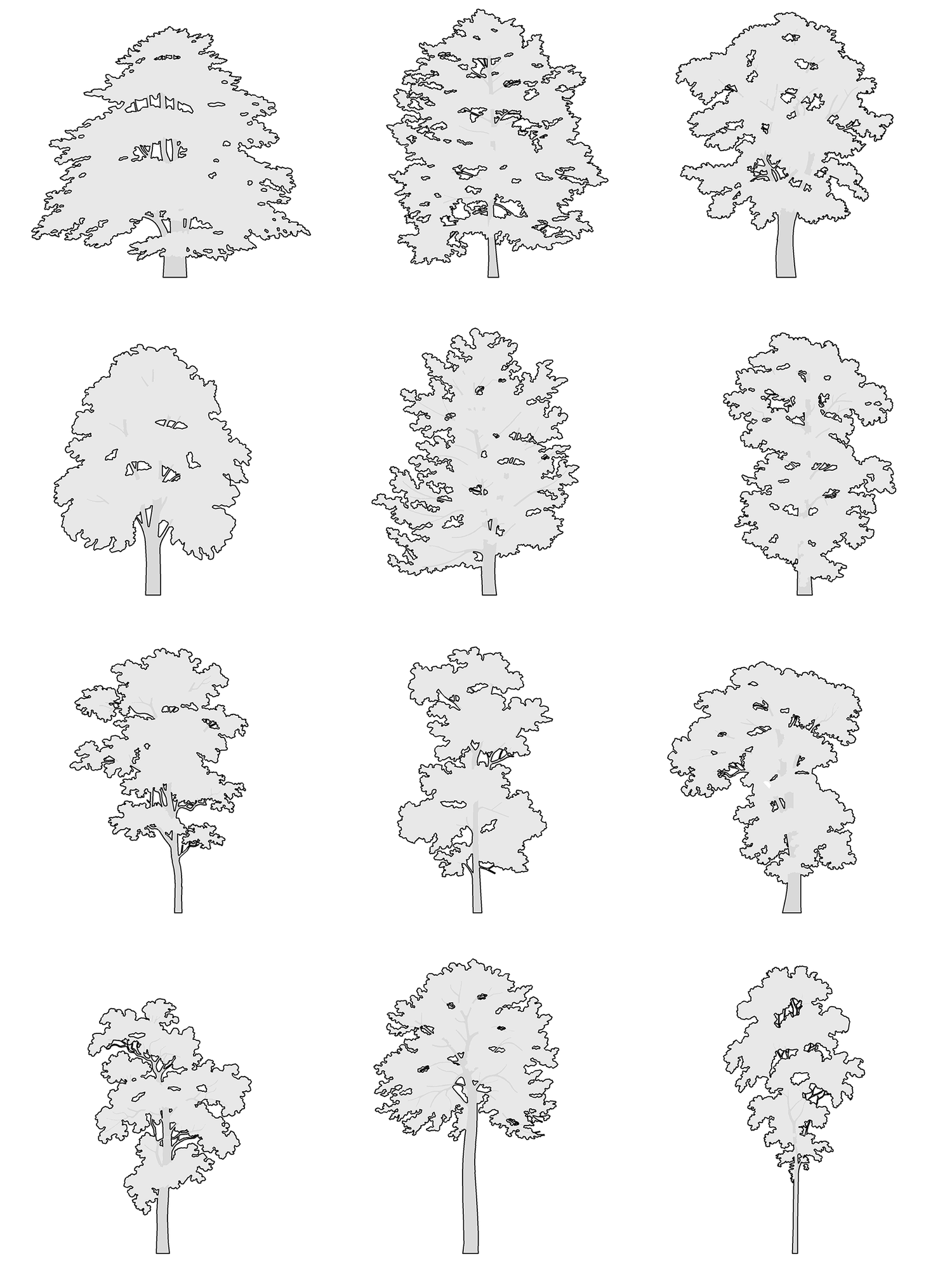DWG Vectorial 1- Large Trees – Cutout|trees