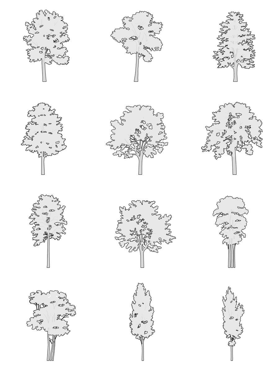 DWG Vectorial 2 - Medium Trees – Cutout|trees