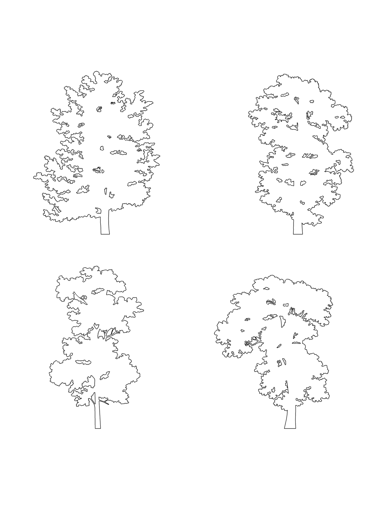 Large Trees CAD Blocks DWG — 12 Trees · 4 Styles · 48 Blocks – Cutout|trees