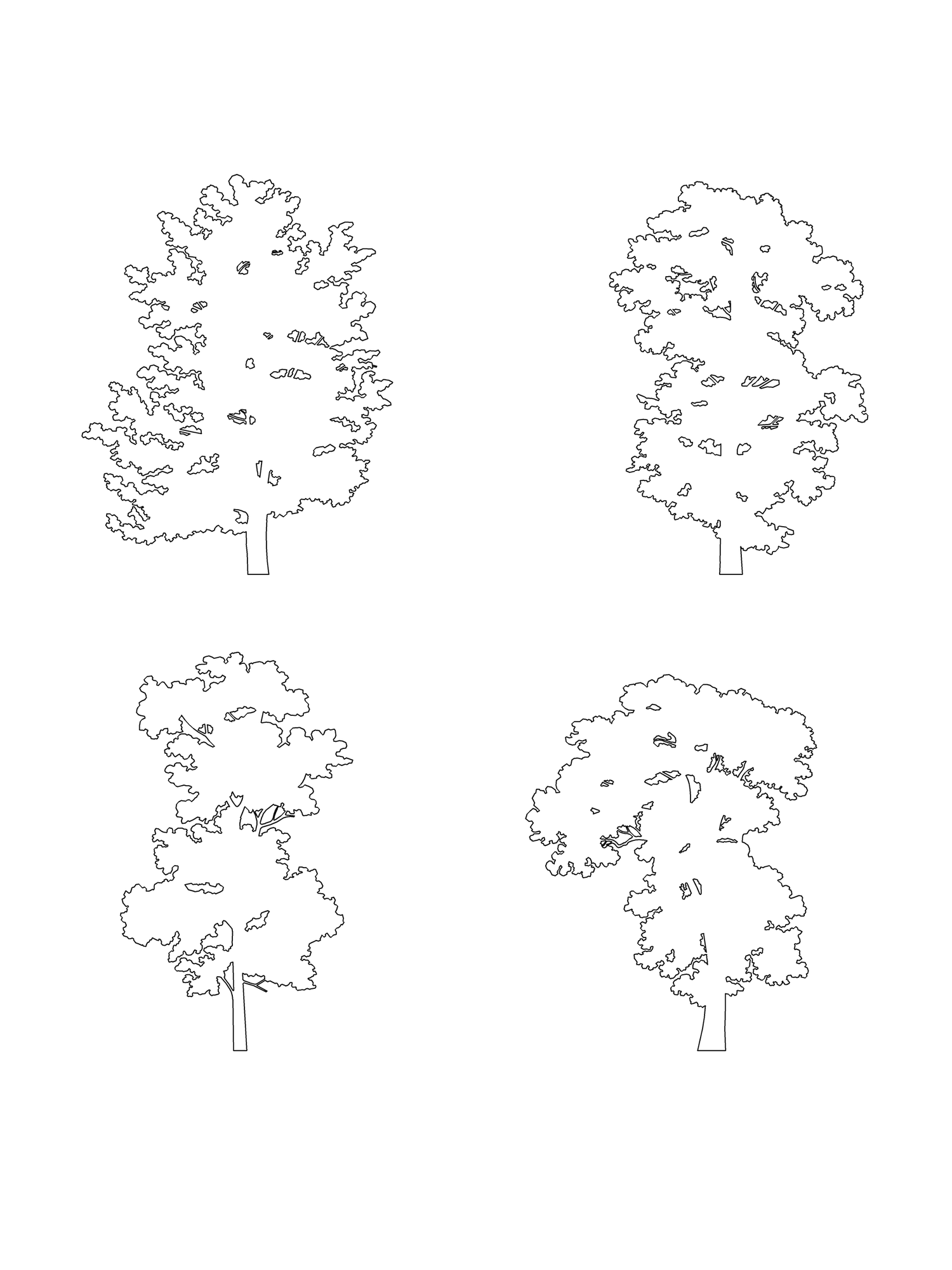 Large Trees CAD Blocks DWG — 12 Trees · 4 Styles · 48 Blocks – Cutout|trees
